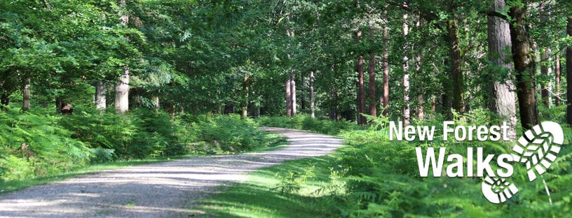 New Forest Walks Map - Find walking routes in the New Forest