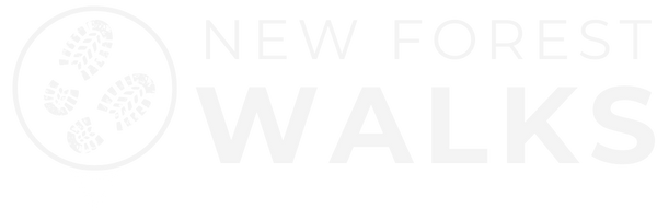 New Forest Walks - 48 stunning routes with maps and descriptions