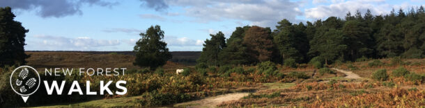 New Forest Walks - 30 stunning routes with maps and descriptions