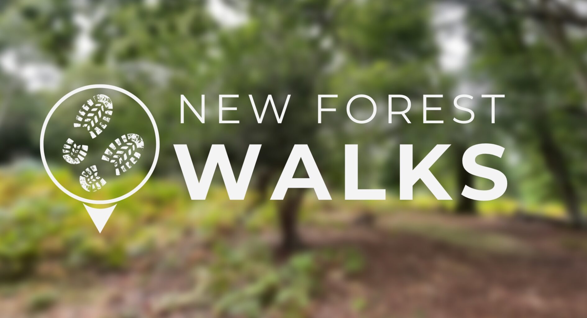 New Forest Walks - 40 stunning routes with maps and descriptions
