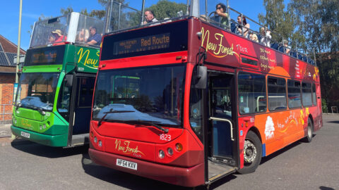 New Forest Tour bus walks - New Forest Walks